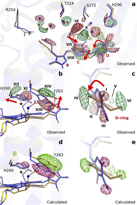 Figures And Data In The Primary Structural Photoresponse Of Phytochrome