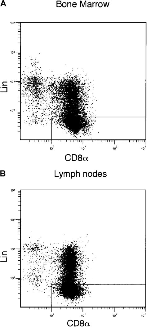 Isolation Of Cd8 Cd11c Lin Cells From Bm And Lymph Nodes Bm Cells A
