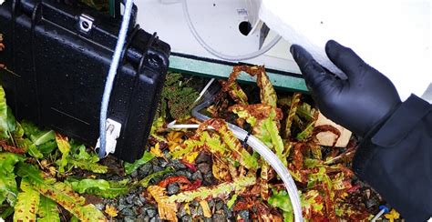 Wastewater Testing 2030 Labs