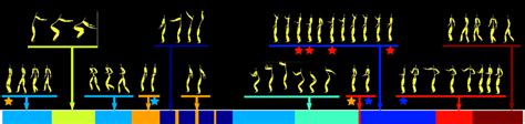 Clustering Labels One Color Per Cluster For The Cmu Mocap Dataset