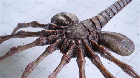Alien Facehugger Pbr 3d Asset Kit 3d Model 15 Blend Fbx Obj
