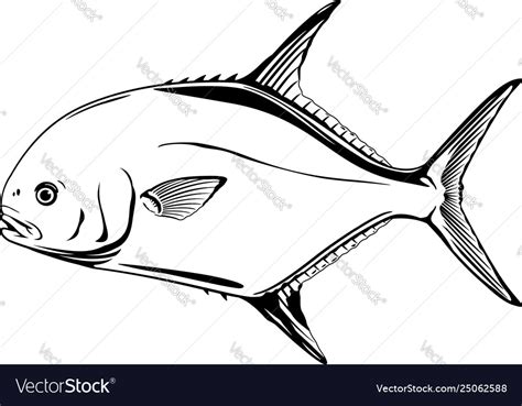 Permit Fish Royalty Free Vector Image Vectorstock