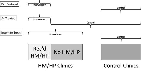 Illustration Of Per Protocol Pp As Treated At And Intent To Treat