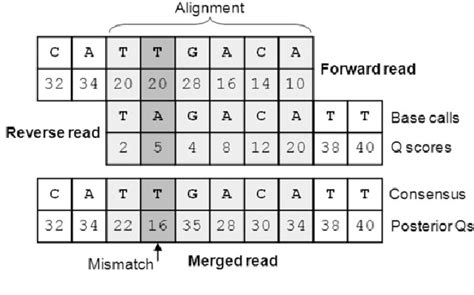 Figure 1 From Error Filtering Pair Assembly And Error Correction For
