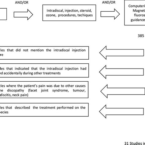 Different Type Of Image Guidance For Intradiscal Injection Download Scientific Diagram