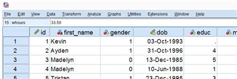 Spss For Beginners The Ultimate Guide