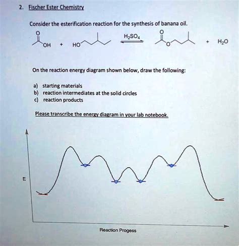Solved Text Fischer Ester Chemistry Consider The Esterification