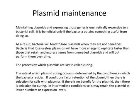 Ppt Plasmid Maintenance Powerpoint Presentation Free Download Id 5575908