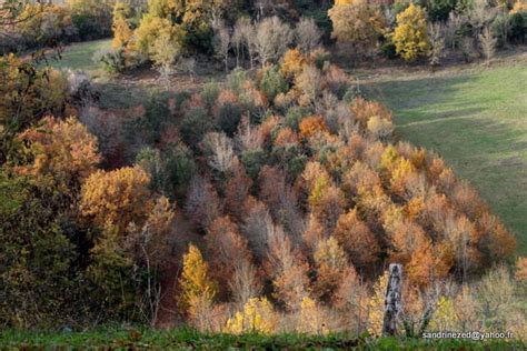 Automn Colour By Sandrinezed On Deviantart