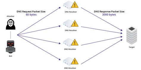 Everything You Need To Know About Dns Amplification Attacks