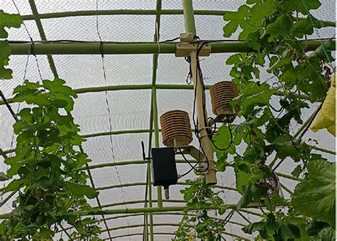 Strategic Placing Of Humidity And Temperature Sensors Download Scientific Diagram