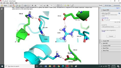 How To Label The Amino Acids Involved In The Protein Protein