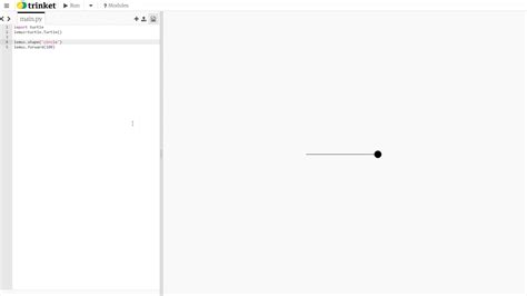 Trinket Python Turtle Lesson Turtle Shape Youtube