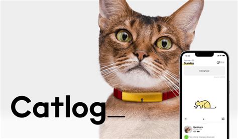 Catlog Series Catlog