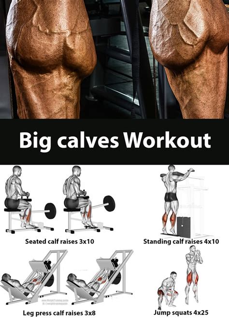 Big Calves Workout Calf Exercises Workout Program Gym Leg Workouts Gym