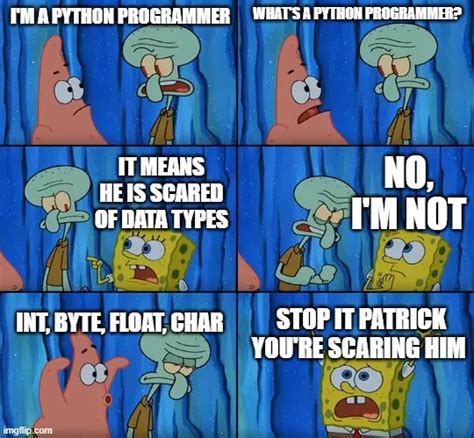 Im A Python Programmer Scrolller