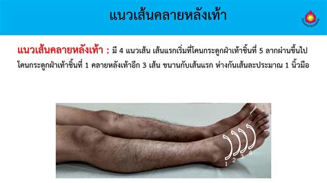 การนวดพื้นฐานขา 20ม ค 63 Mi W หน้าหนังสือ 21 พลิก Pdf ออนไลน์ Pubhtml5