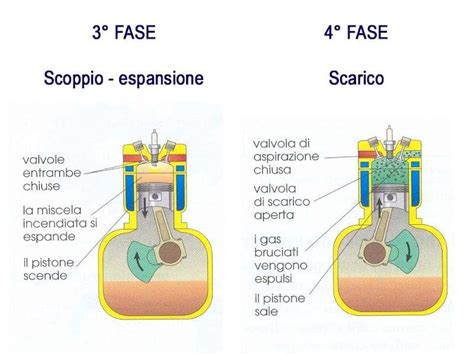 Grafico Endotermico Etichettato