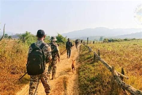 ရွှေကျင်တွင် စစ်ကောင်စီတပ်နှင့် Pdfပူး‌ ပေါင်းတပ်ဖွဲ့တို့ တိုက်ပွဲဖြစ်ပွားပြီး စစ်ကောင်စီ တပ်သား