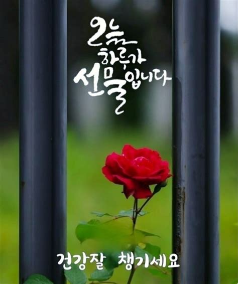 췌 장 문학시넷동네 대한신보