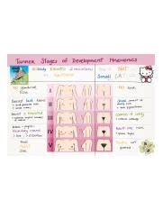 Tanner Mneumonicpng Tanner Stages Of Development Mnemonics Actually I Can Nobody Elevates 2