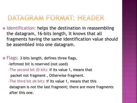 Ch 19 Network Layer Protocols Section 1 Pptx Computer Networking