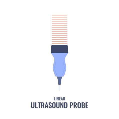 31 Array Ultrasound Stock Vectors And Vector Art Shutterstock