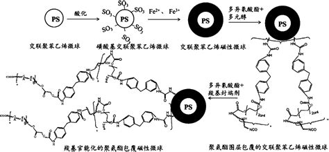 Carboxyl Functionalized Polyurethane Coated Magnetic Microsphere And