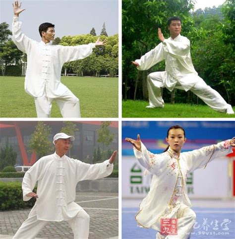 杨式太极拳十三式 太极式分解图 三丰原式太极拳 第5页 大山谷图库