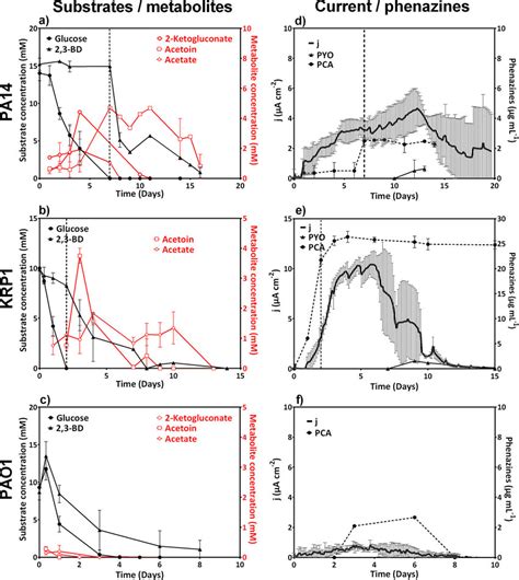 Carbon Substrate Uptake By Cultures Supplied With Equimolar Glucose And