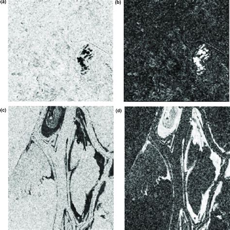 Shuwen Xu Professor Full Phd Xidian University Xian School Of Electronic And