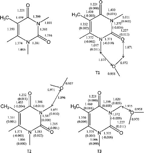 Equilibrium Structures Of Thymine And Three Thymine Monohydrates Download Scientific Diagram