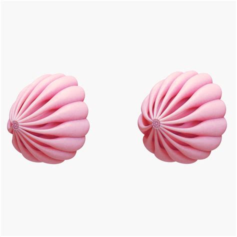 Mammary Gland Anatomy 3d Model By Zames1992d