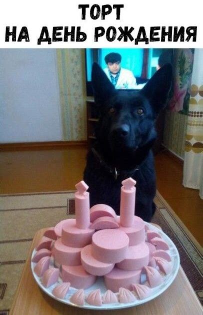 Праздник в доме Пикабу