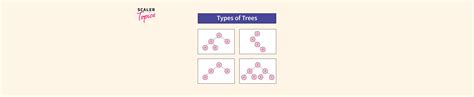 Types Of Trees In Data Structures Scaler Topics