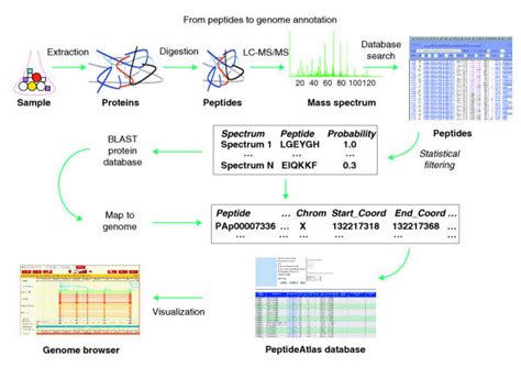 Analysis Pipeline For The Annotation Of The Human Genome With Download Scientific Diagram