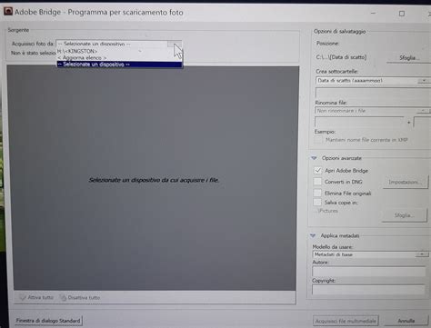 Programma Scaricamento Foto Di Bridge Adobe Community 13128901