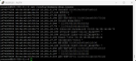 Configure DNS With Ubiquiti Security Gateway Using Dnsmasq