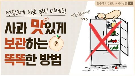 사과 맛있게 보관 하는 방법 냉장고에 바로 넣지 마시고 이렇게 해보세요 Youtube