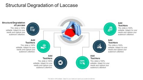 Structural Degradation Of Laccase In Ppt Powerpoint Presentation Slide Templates Cpp Ppt Example