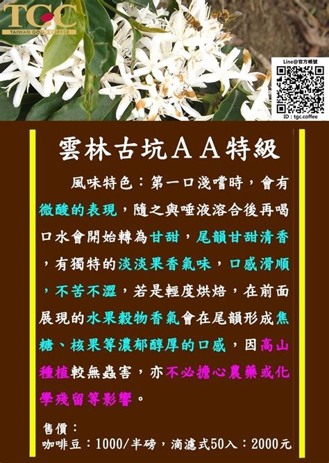 雲林古坑咖啡企業 TGC台灣咖啡莊園