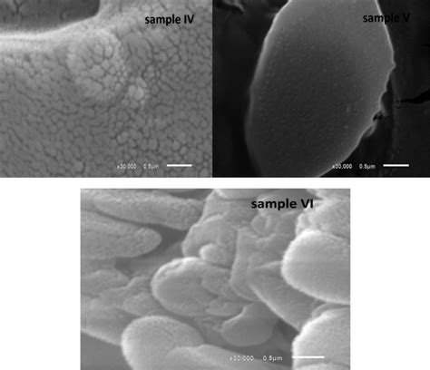 SEM Images Of Three Polymer Samples IV V And VI Download Scientific Diagram