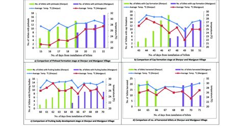 Different Stages Of Ganoderma Lucidum Cultivation First Flush In