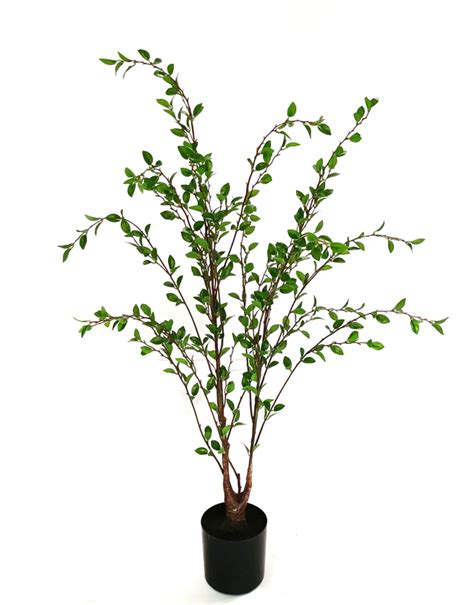 Small Leaves Tree Small Leaves Tree Products Small Leaves Tree Manufacturers Small Leaves