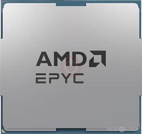 AMD EPYC Specs TechPowerUp CPU Database