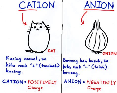 SPMStraightA CATION ANION