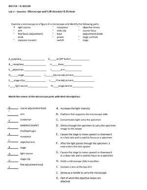 BIO 210 Lab 6 Exercise Answers BIO 210 Anatomy And Physiology I D BELSER Lab 6