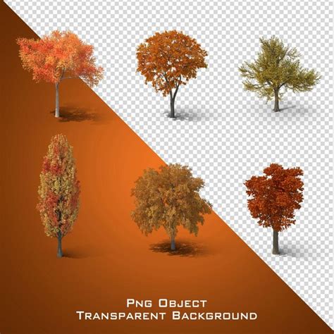 Oak Tree Trunk Psd 2000 High Quality Free Psd Templates For Download