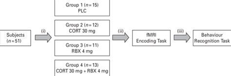 The Randomized Double Blind Placebo Controlled Parallel Group Design