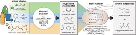 Recent Development Of End Of Life Strategies For Plastic In Industry And Academia Bridging